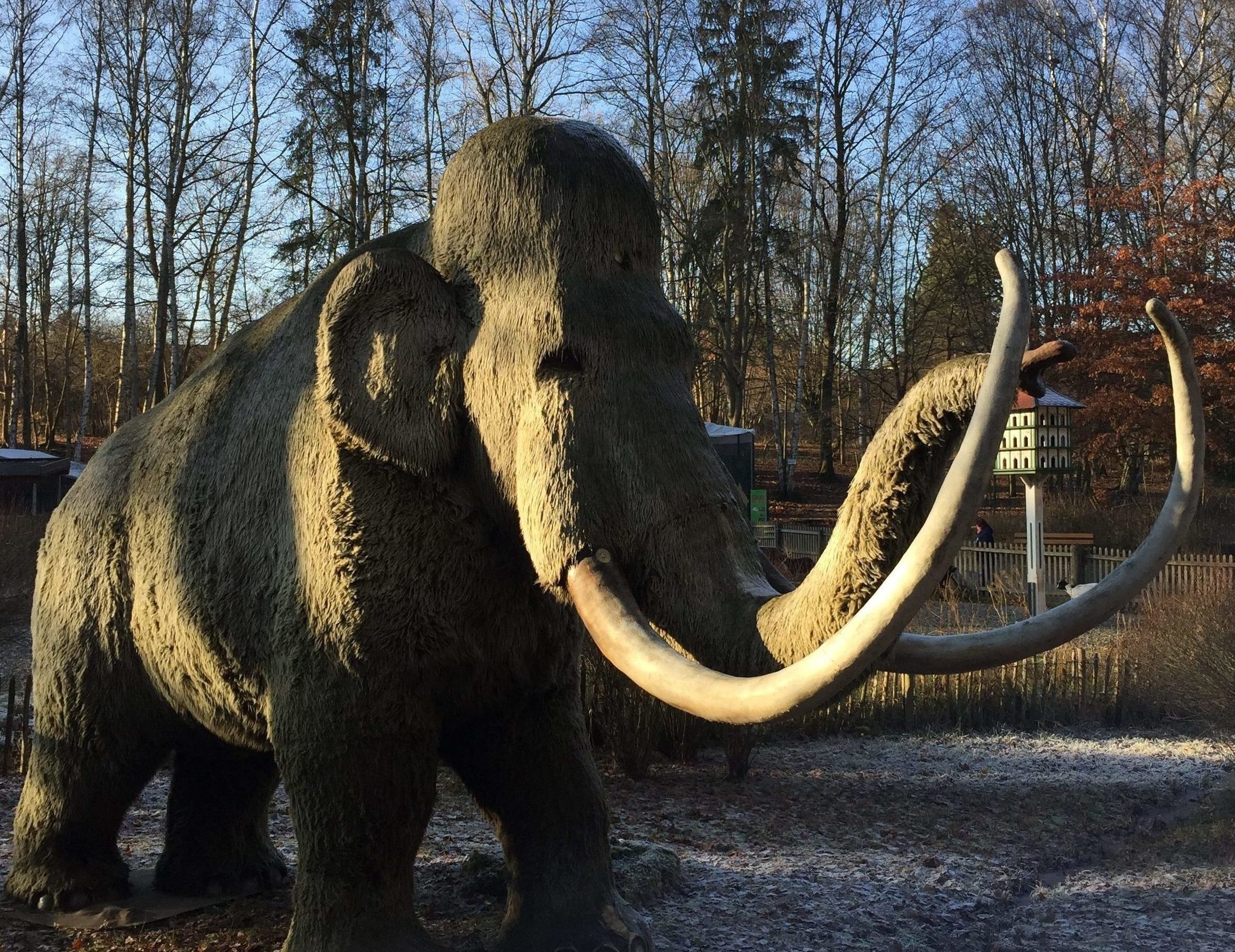 Mammute am Röhrensee gesichtet - Tierpark Röhrensee